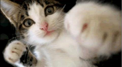 “Pinch Punch”for the first day of the month! | 豪州インフォ